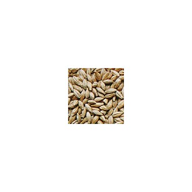 Malt Pilsner Bohème EBC 3 - 4